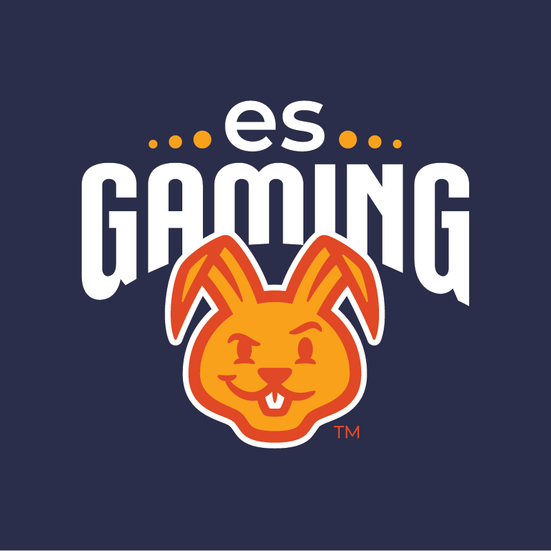 ES Gaming Envisions New Standard for Inclusive Gaming